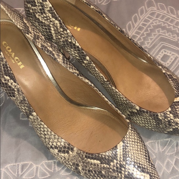 Coach | Shoes | Snakeskin Coach Pumps | Poshmark